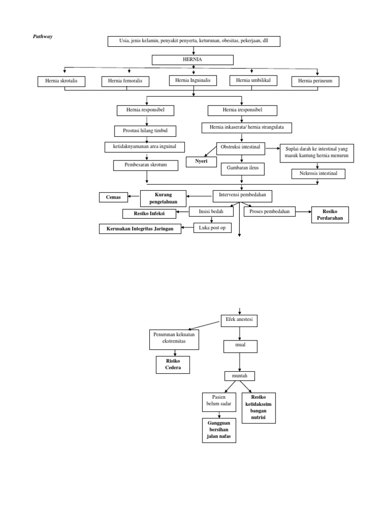 Pathway Hernia | PDF
