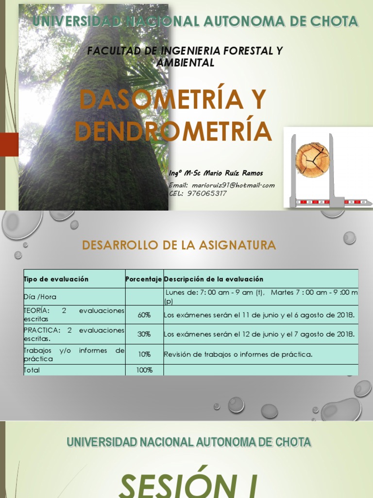 Dasometria | PDF | Arboles | Volumen