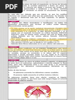 Poema Mi+Identidad | PDF | Educación avanzada