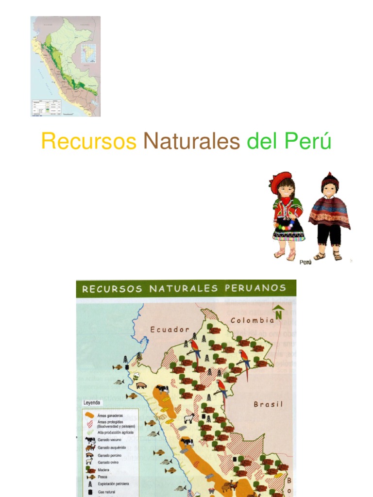 Recursos Naturales Del Peru | PDF