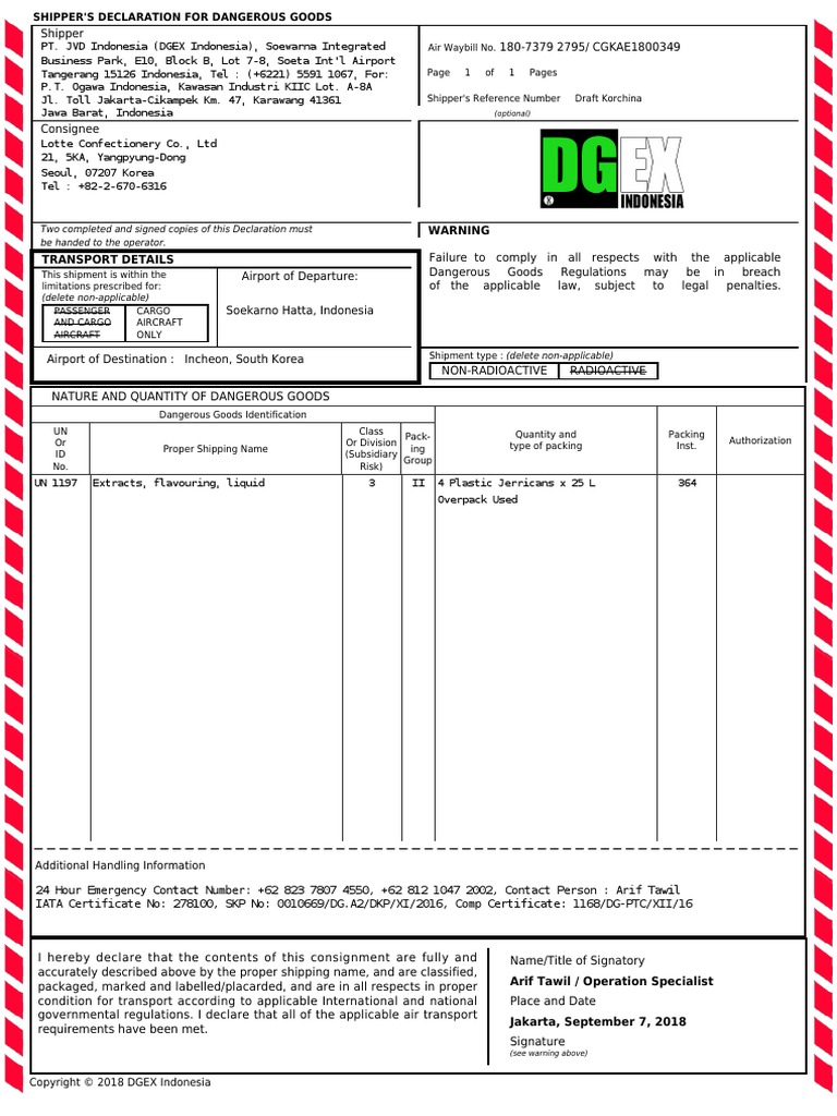 Korchina | PDF | Dangerous Goods | Cargo