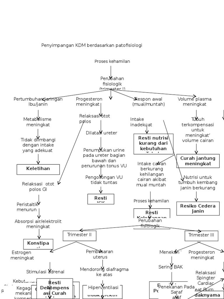 Penyimpangan Kdm Berdasarkan Patofisiologi Pdf