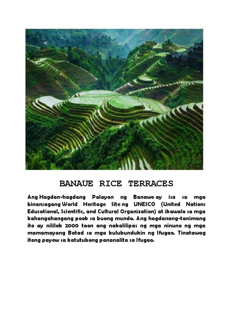 Banaue Rice Terraces | PDF