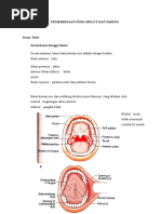 Contusio Musculorum | PDF