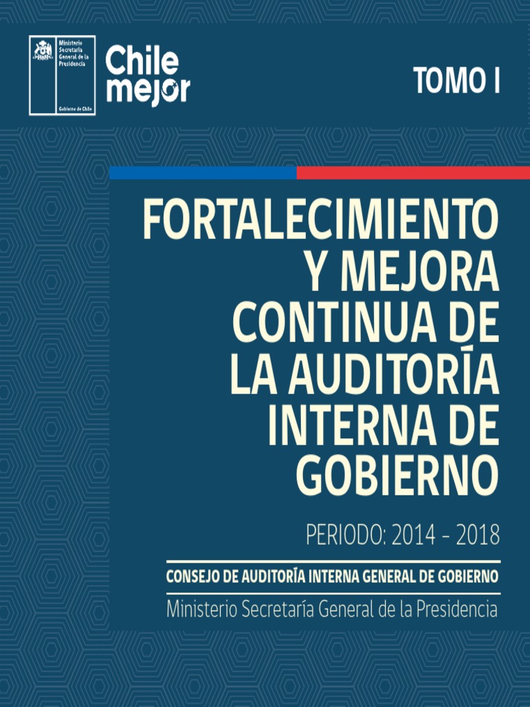 Libro Caigg Tomo I Auditoria Interna. | PDF | Auditoría | Responsabilidad