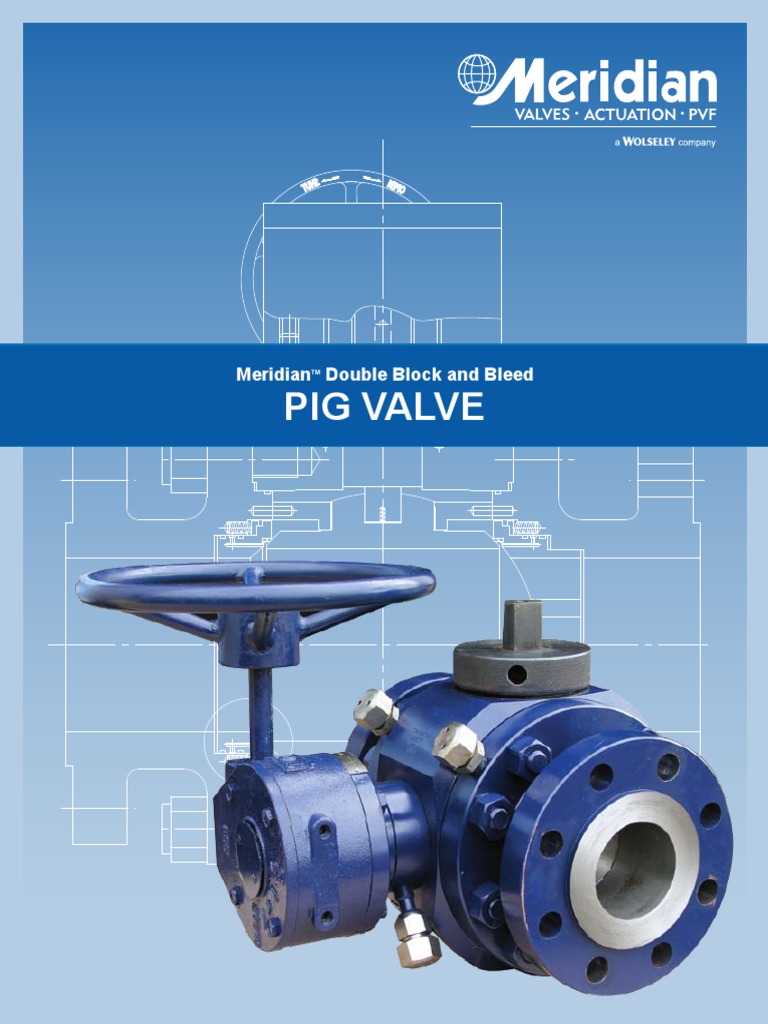 Pig Valve: Meridian Double Block and Bleed | PDF | Valve | Building ...