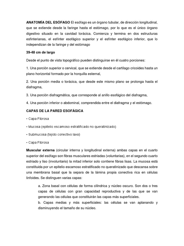 ANATOMÍA DEL ESÓFAGO El Esófago Es Un Órgano Tubular | PDF | Esófago ...
