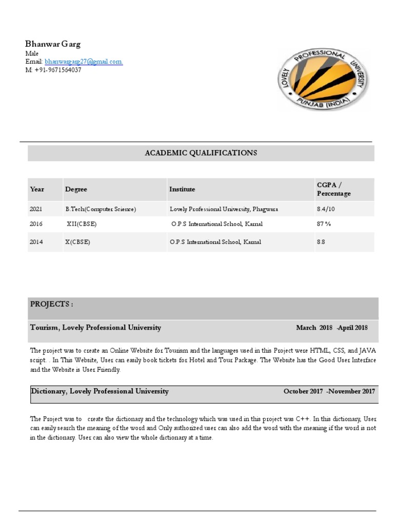 CV Example For College Students | PDF