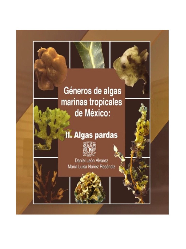 Libro Algas Pardas | PDF | Eucariotas | Organismos