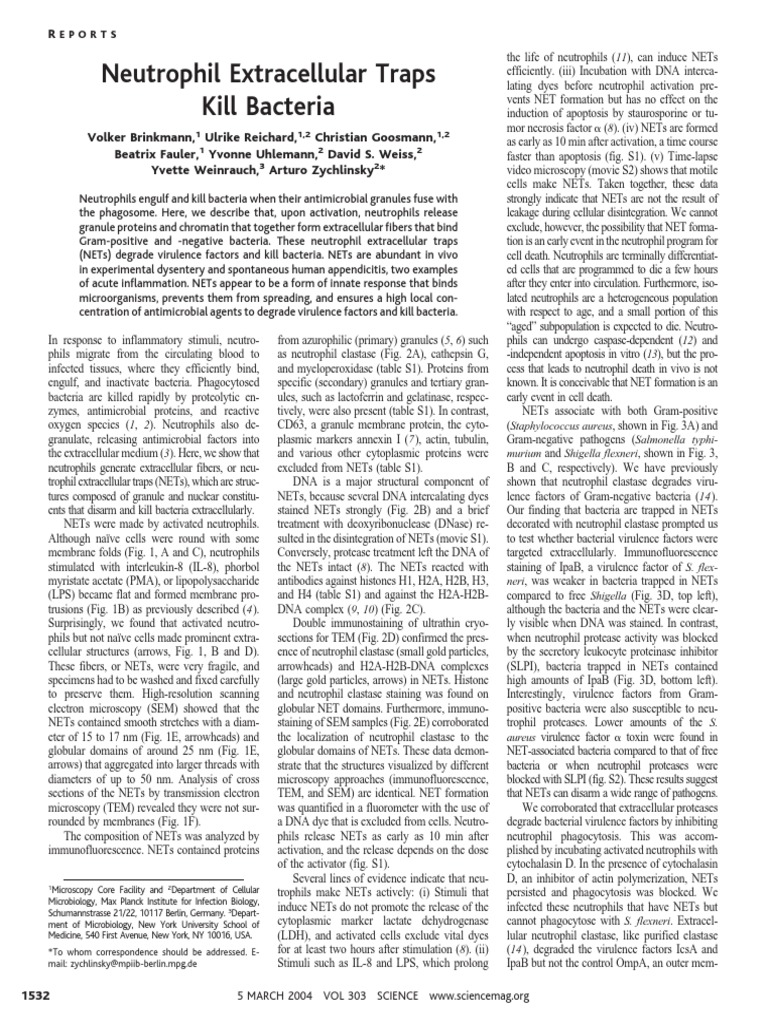 Neutrophil Extracellular Traps Kill Bacteria | PDF | Interleukin 8 ...