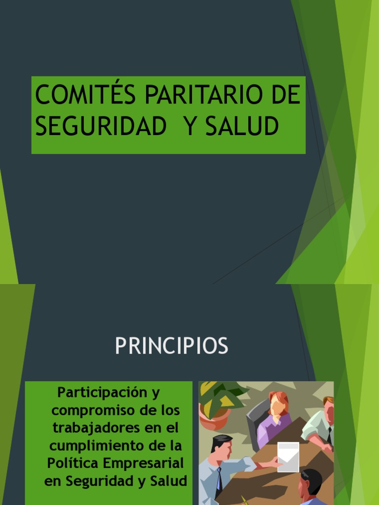 COMITÉS PARITARIOS ELECCION 2018.ppt | Justicia | Crimen y justicia