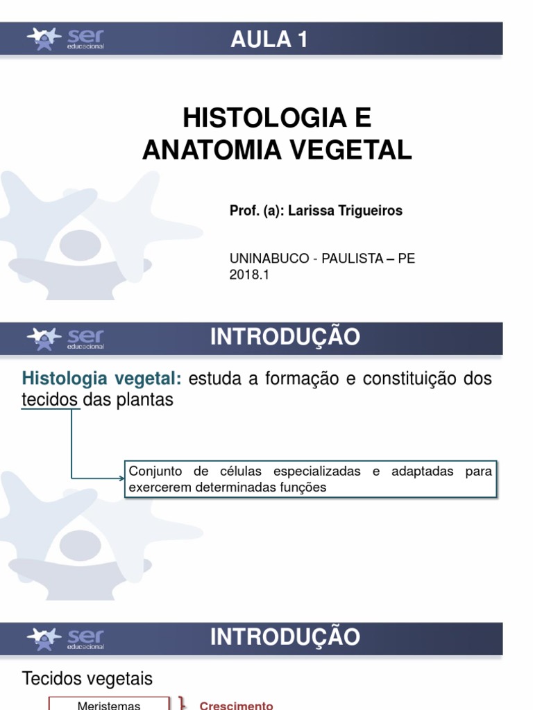 Aula 2 - HISTOLOGIA E ANATOMIA VEGETAL PDF | PDF | Latido | Raiz