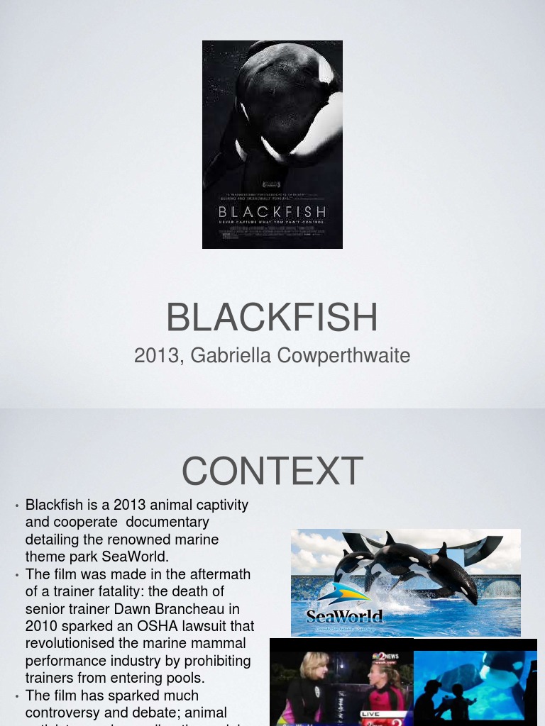 Blackfish Researchanalysis 151026173504 Lva1 App6892 | PDF | Sea World