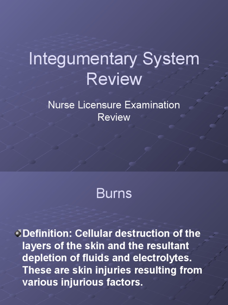 Integumentary System Review - Burns | PDF | Health Care | Burn