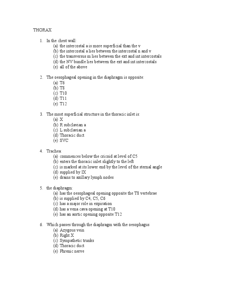 Anatomy MCQ - Thorax PDF | PDF | Aorta | Lung
