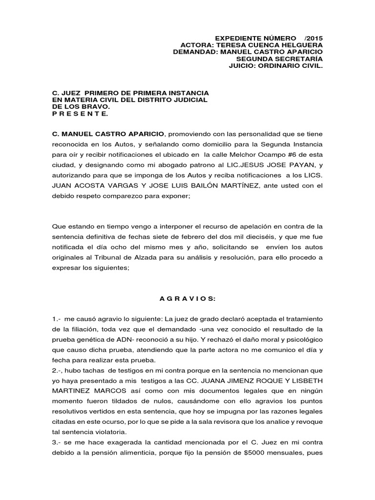 Recurso de Apelación y Expresión de Agravios | Apelación | Sentencia (ley)