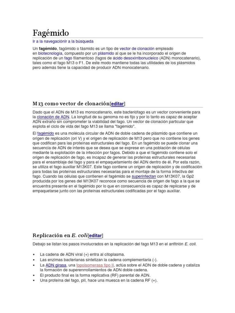 Fagémido M13.docx | PDF | Adn | Biología Molecular