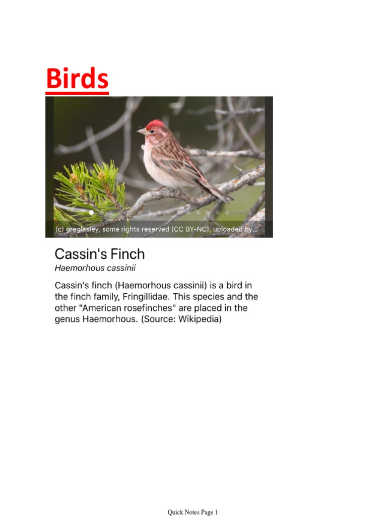 Birds | PDF