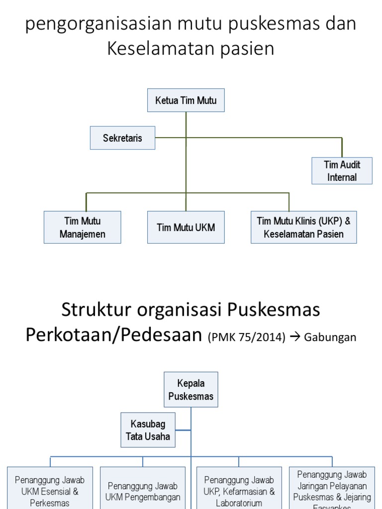 Struktur Organisasi Tim Mutu | PDF