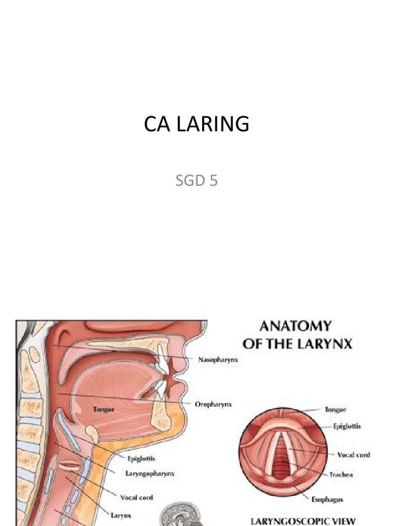 Ca Laring | PDF