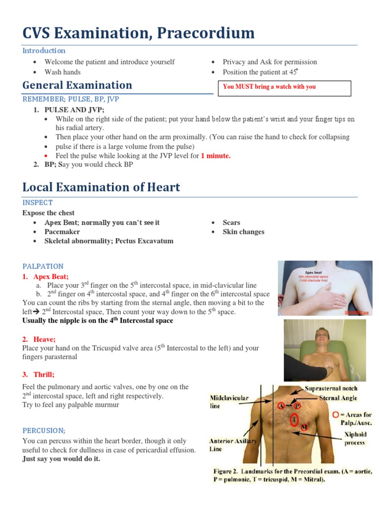 Heave and Thrill Examination Guide | PDF | Pulse | Heart