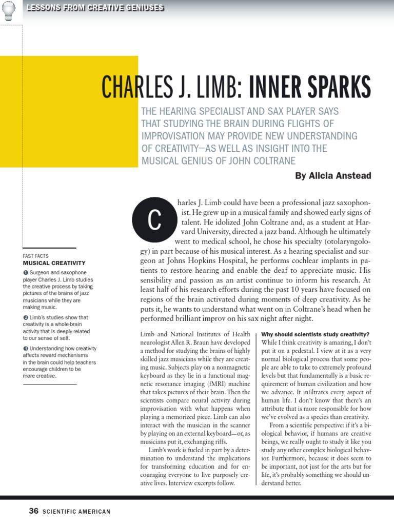 Charles J. Limb Inner Sparks | PDF | Functional Magnetic Resonance ...