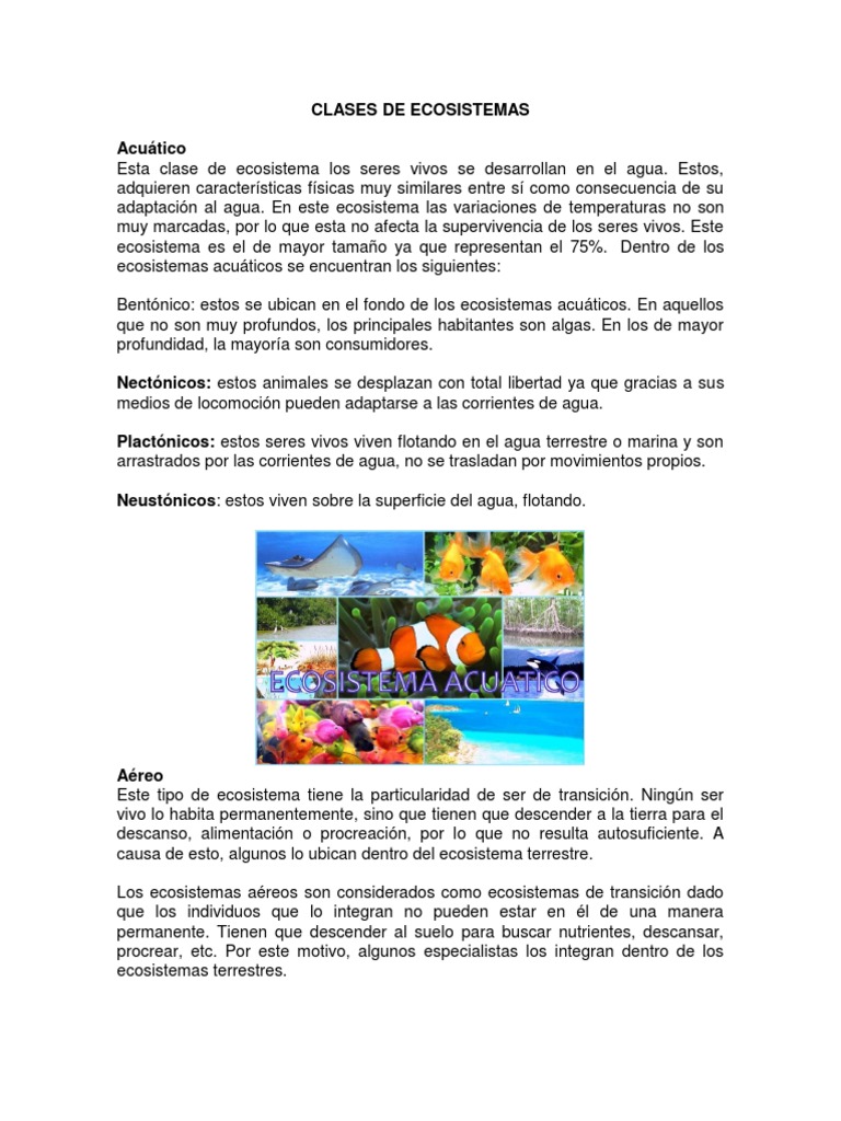 Clases de Ecosistemas | PDF | Ecosistema | Los bosques