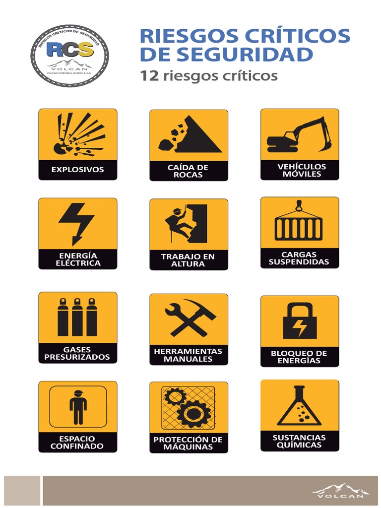 12 Riesgos Críticos de Seguridad | PDF | Naturaleza | Energía y recursos