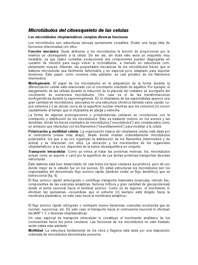 Microtúbulos Del Citoesqueleto de Las Celulas | PDF | Microtúbulos ...