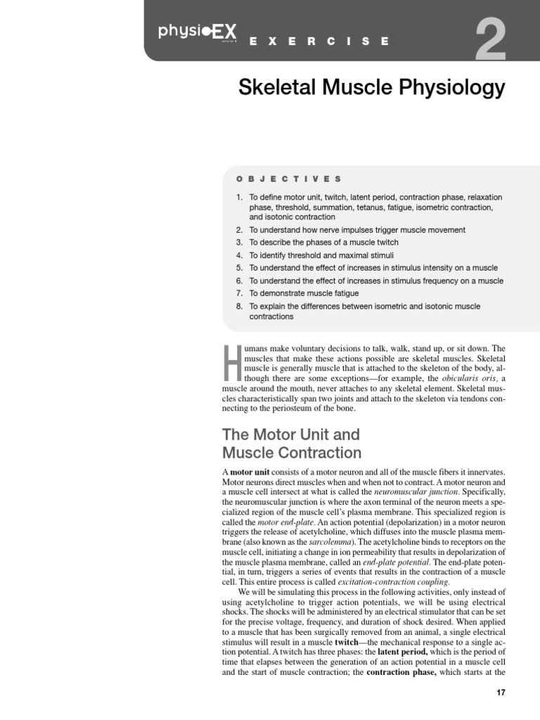 PhysioEX 9.1 Exercise 2 Activity 2 | PDF | Muscle Contraction | Action Potential