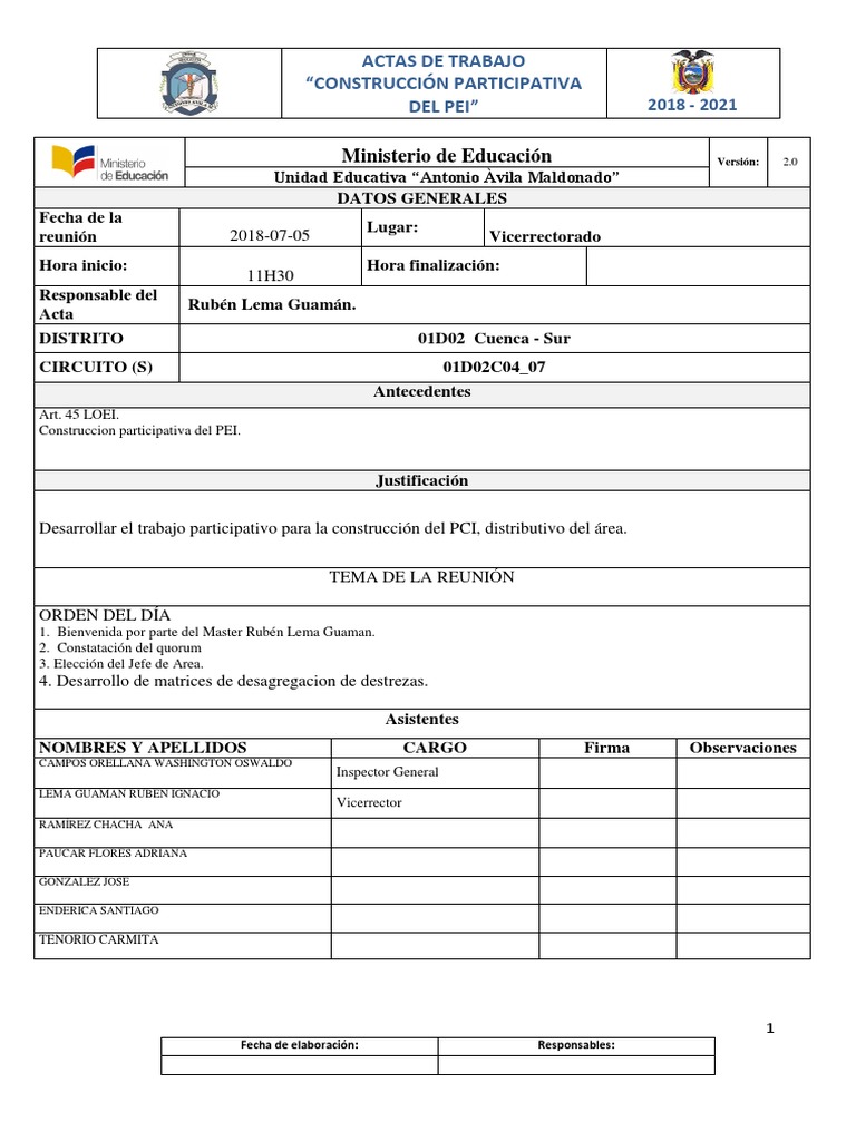 Acta de Areas CCNN | PDF