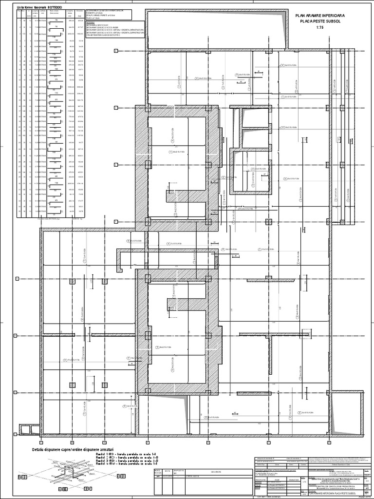 Rf12 Plan Armare Inferioara Placa Peste Subsol