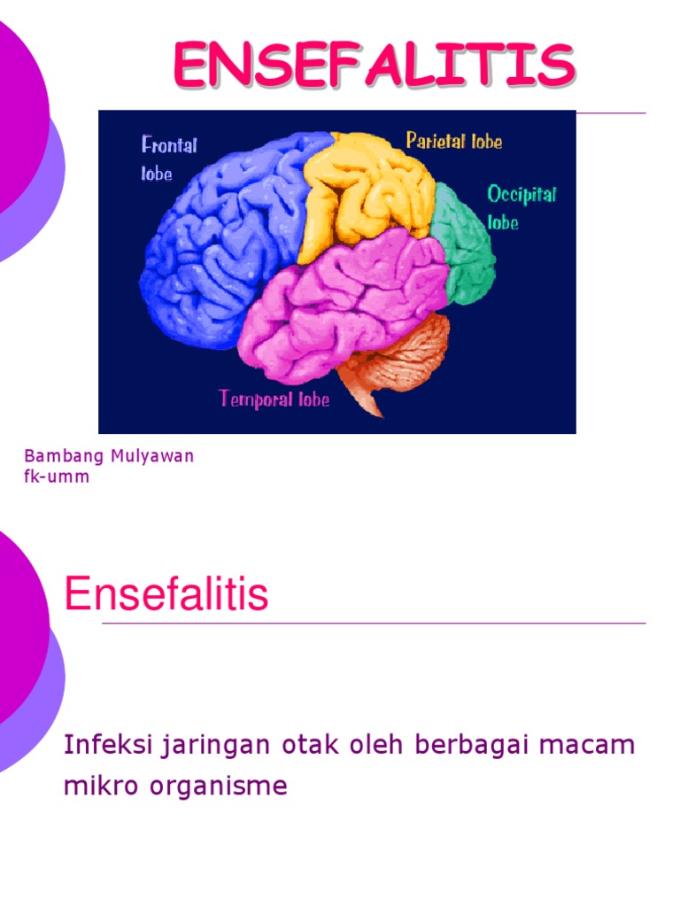 DR Bambang Ensefalitis | PDF | Infection | Virus