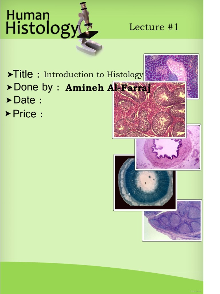 Introductory Histology Course Notes | PDF | Histology | Staining