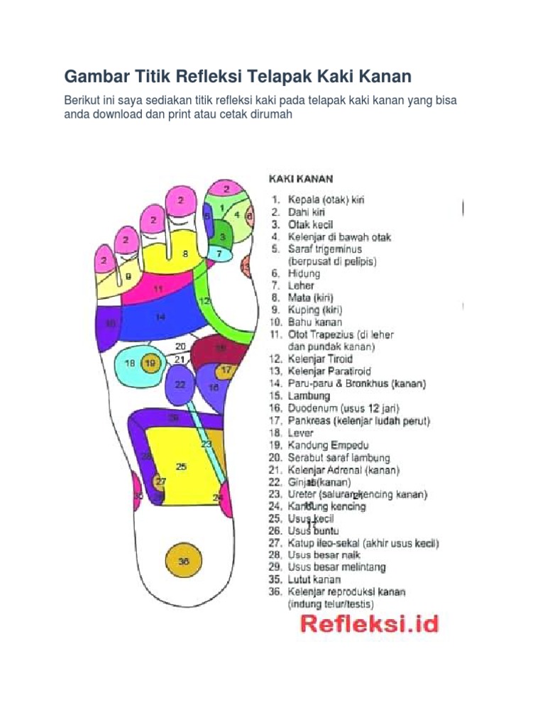 Gambar Titik Refleksi Telapak Kaki Pdf