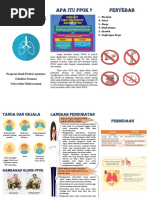 Laporan Pendahuluan Ppok (Penyakit Paru Obstruktif Kronik) | PDF