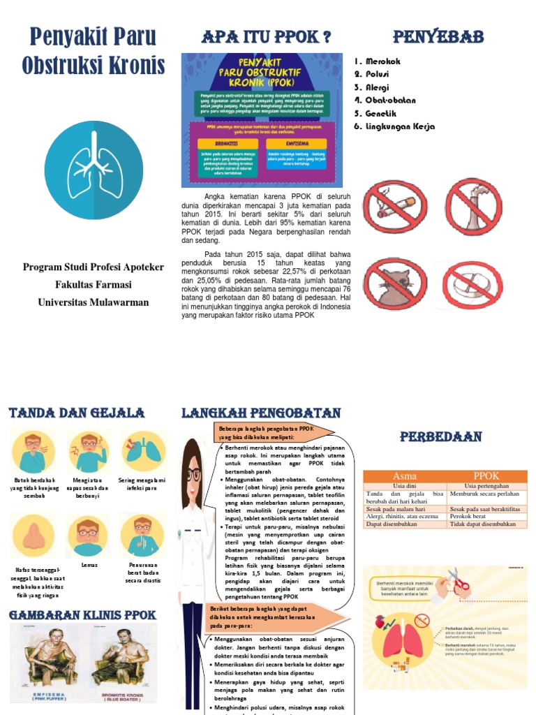 Panduan Lengkap PPOK dan Pengobatannya | PDF