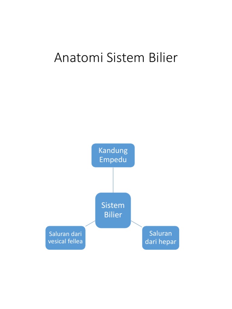 Anatomi Sistem Bilier - Audra | PDF