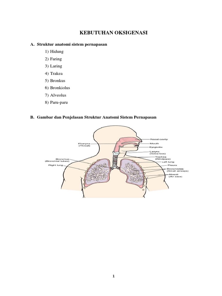 Kebutuhan Oksigenasi | PDF