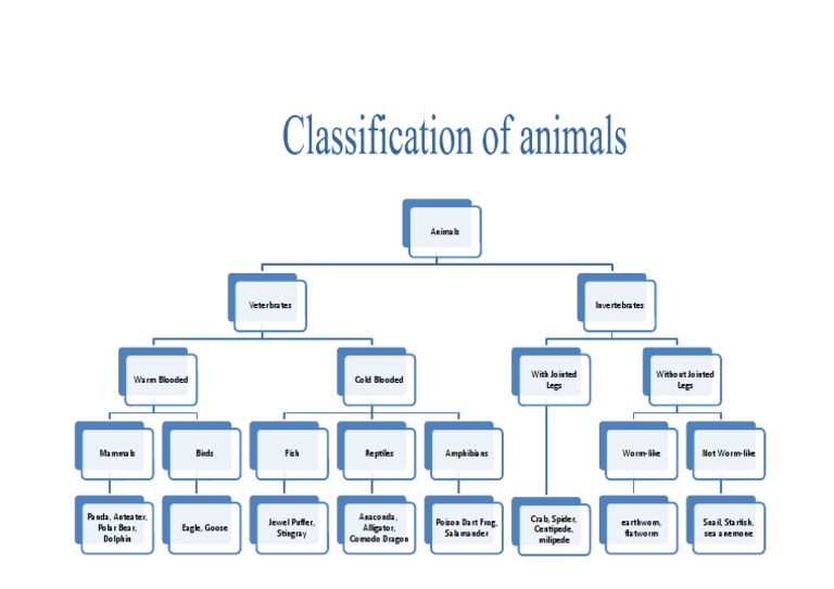 Classification of Animals Chart | PDF
