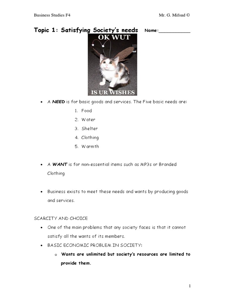 Topic 1 - Wants and Needs | PDF