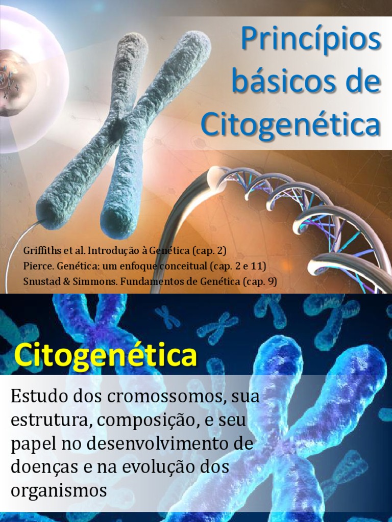 Aula 4b - Princípios Básicos de Citogenética | Citogenética | Cromossomo