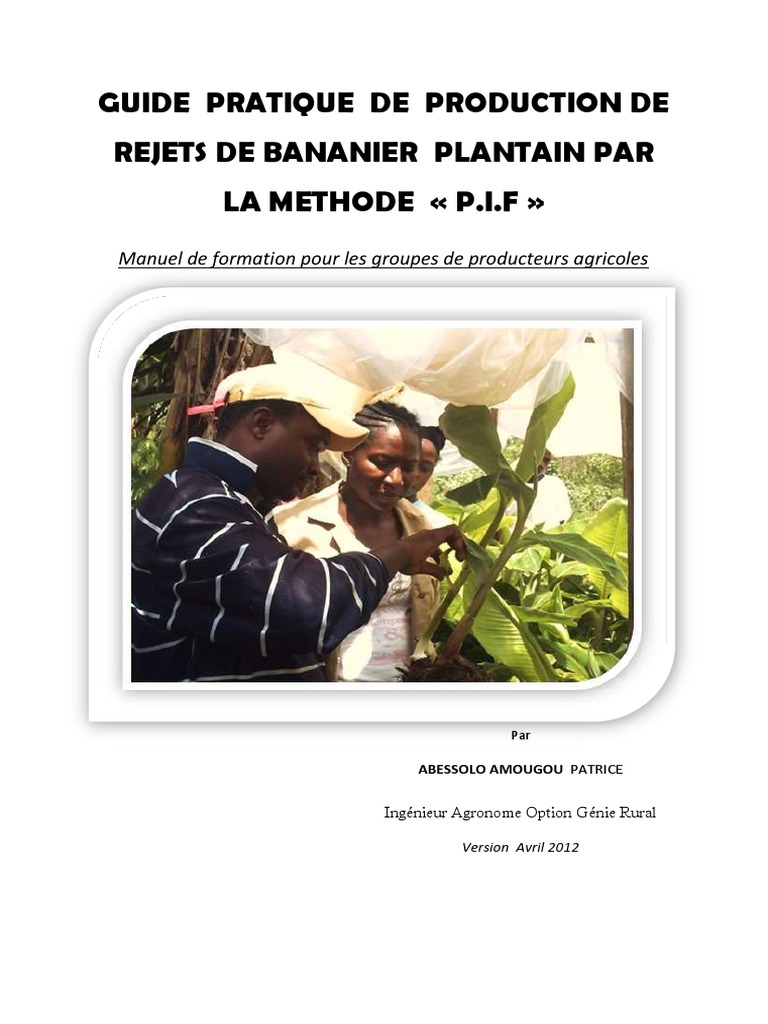 Guide de production PIF pour bananier | PDF | Feuille | Racine