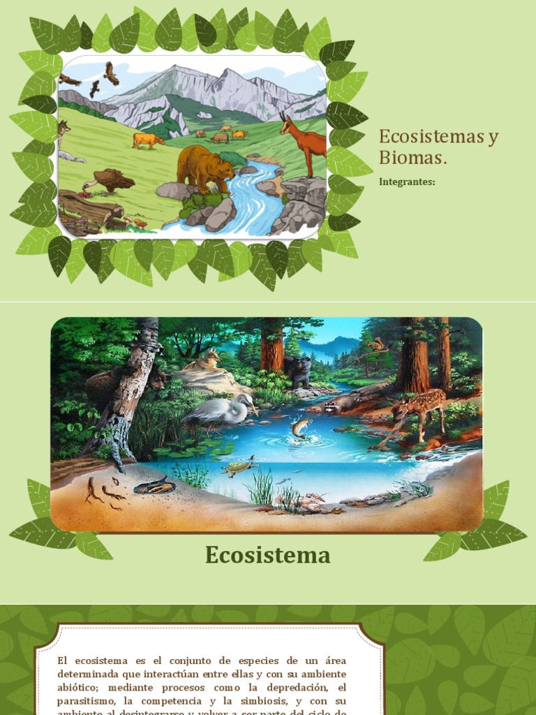Ecosistemas y Biomas 1 | Descargar gratis PDF | Ecosistema | Biodiversidad