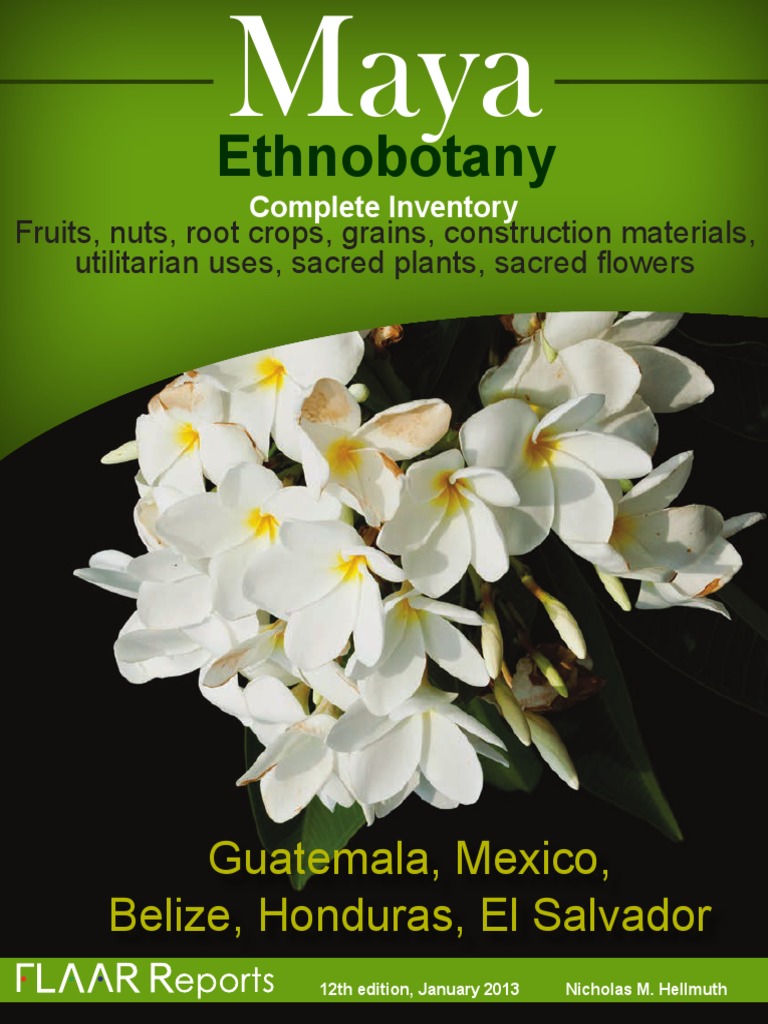 Mayan Ethnobotany Iconography Plants Food Fruits Flowers Trees ...