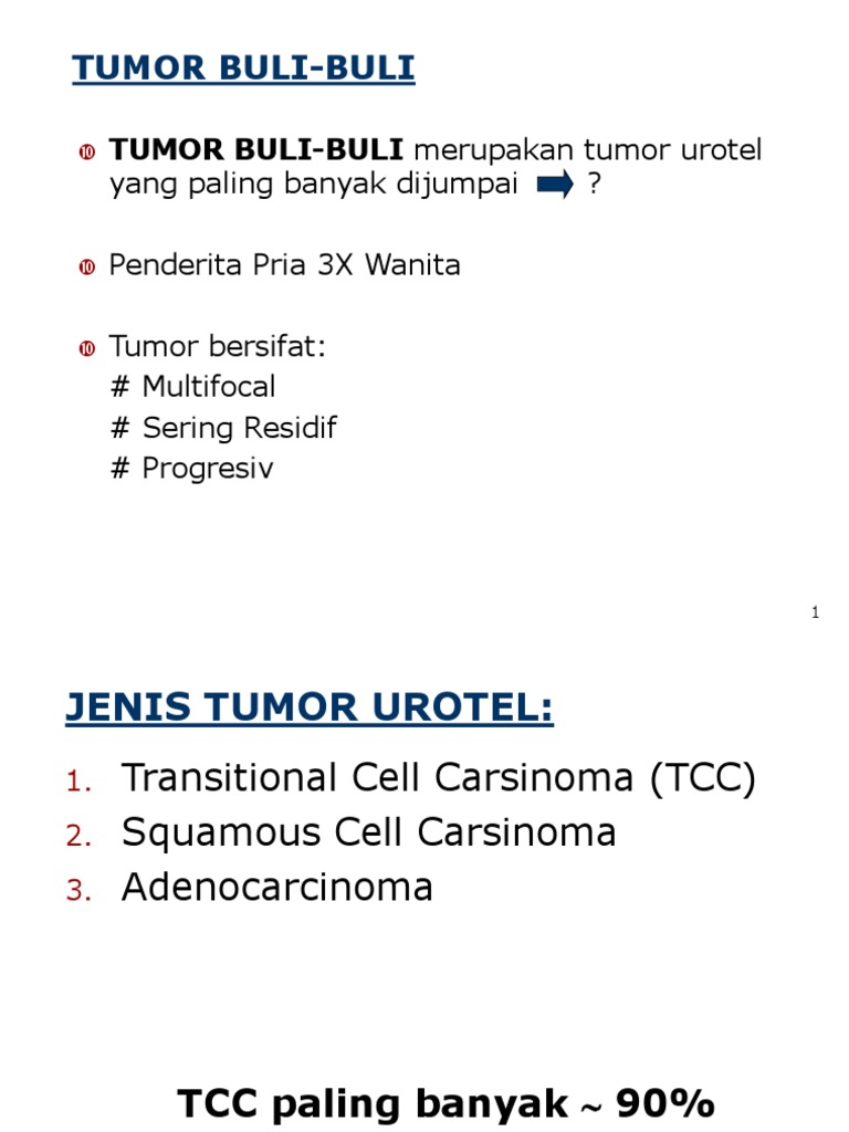 Tumor Buli | PDF | Anatomy | Drugs