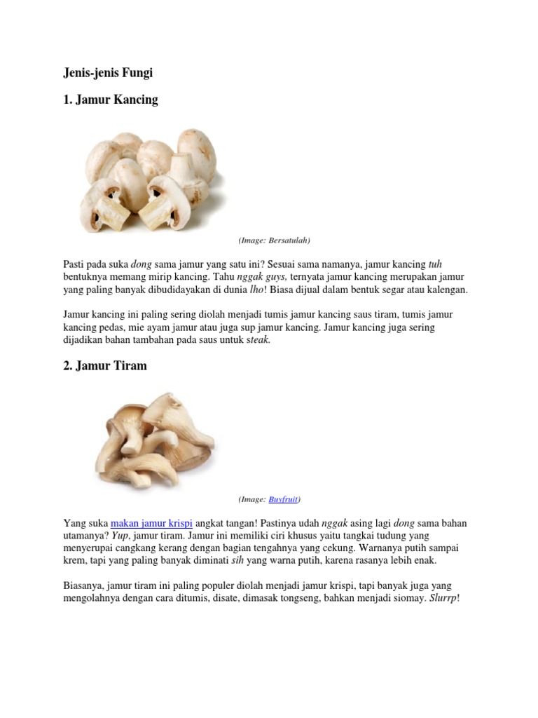 Jenis-Jenis Jamur | PDF