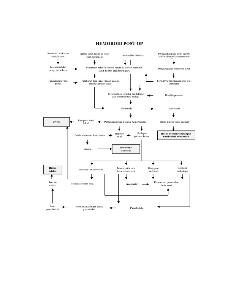Panduan Pasca Operasi Hemoroid | PDF | Digestive Diseases