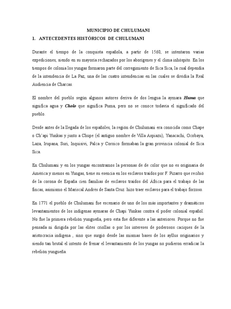 Chulumani: Historia y Geografía Municipal | PDF | Arboles | Turismo