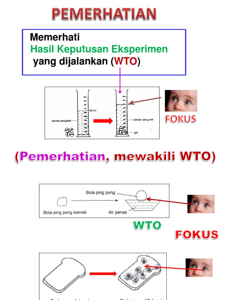 Pemerhatian & Inferens | PDF